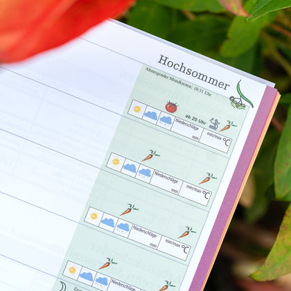 Kraut Und Ruben Mondkalender